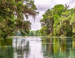 How Deep Is The Ichetucknee River - Geoaffairs.com