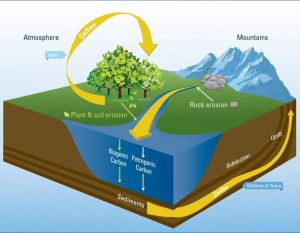 Climate Change And Rivers: A Tale Of Transformation