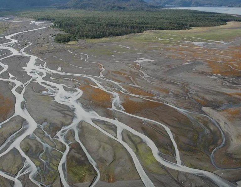 Environmental Impact Of Damming Rivers: The Price We Pay