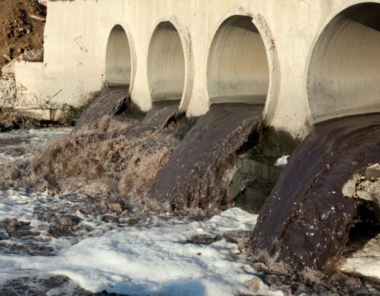 Rivers Of Food: The Connection Between Rivers And Agriculture