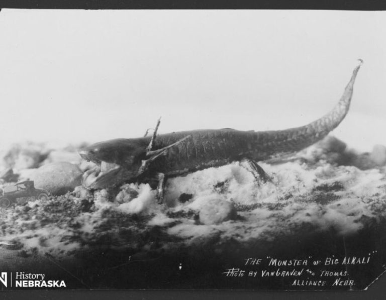 The Lore Of River Monsters: A Global Exploration
