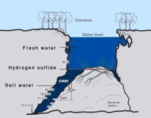 The Most Mysterious Underwater River Systems Unveiled